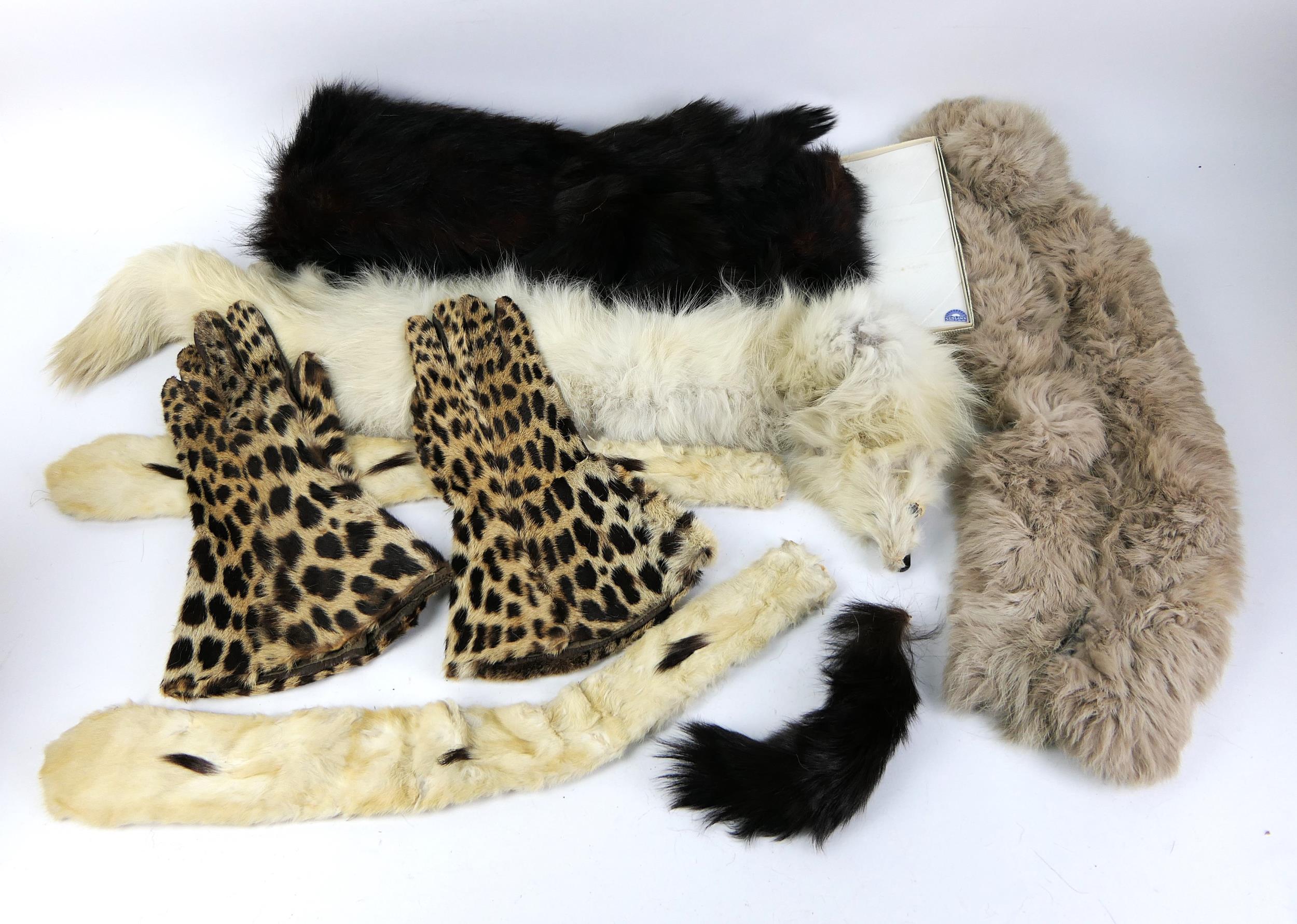 Taxidermy - A box of Victorian furs, to include Leopard skin gloves ...