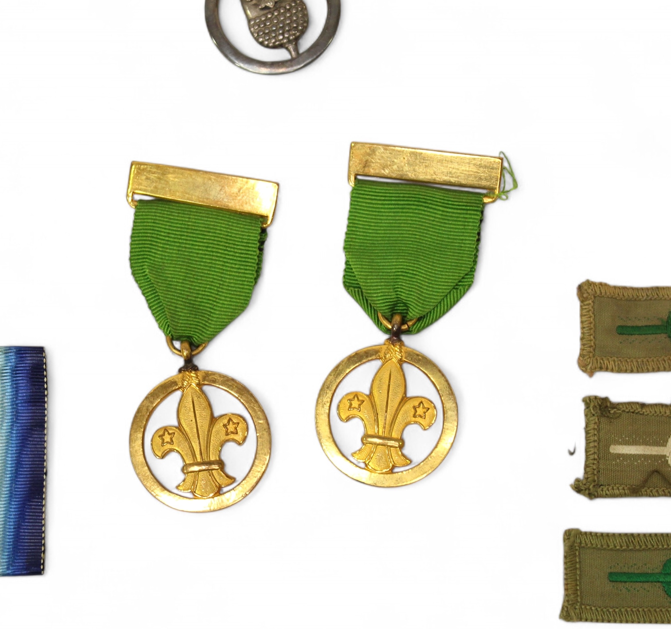 Boy Scout interest: A Silver Wolf Award on yellow ribbon, together with ...