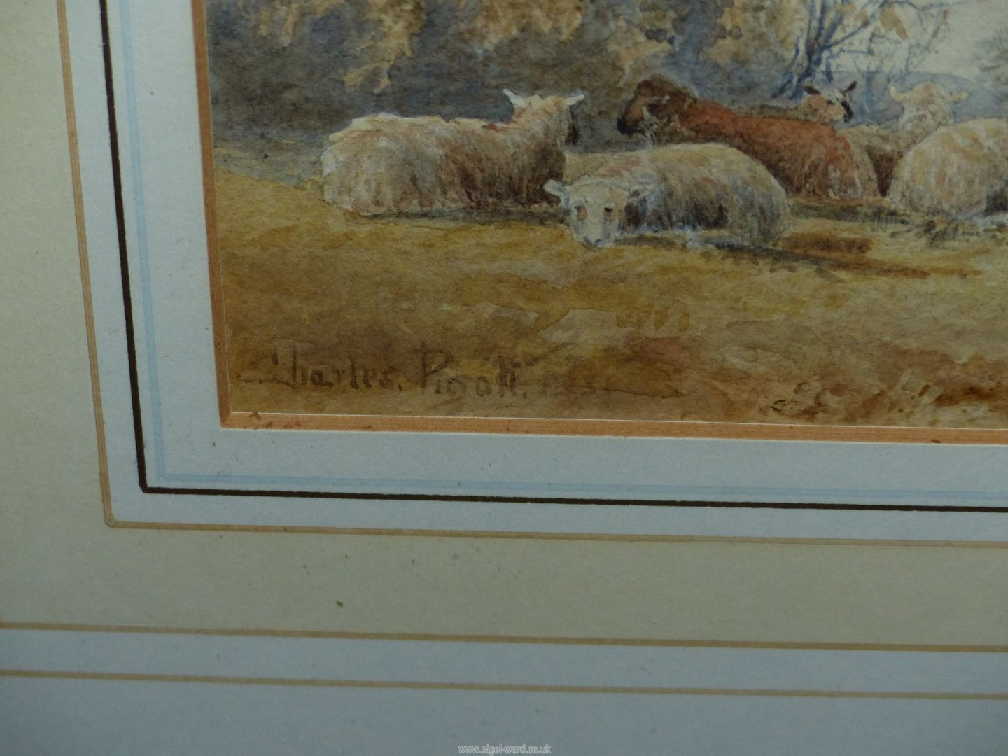 A framed and mounted Watercolour depicting a Pastoral scene with sheep ...