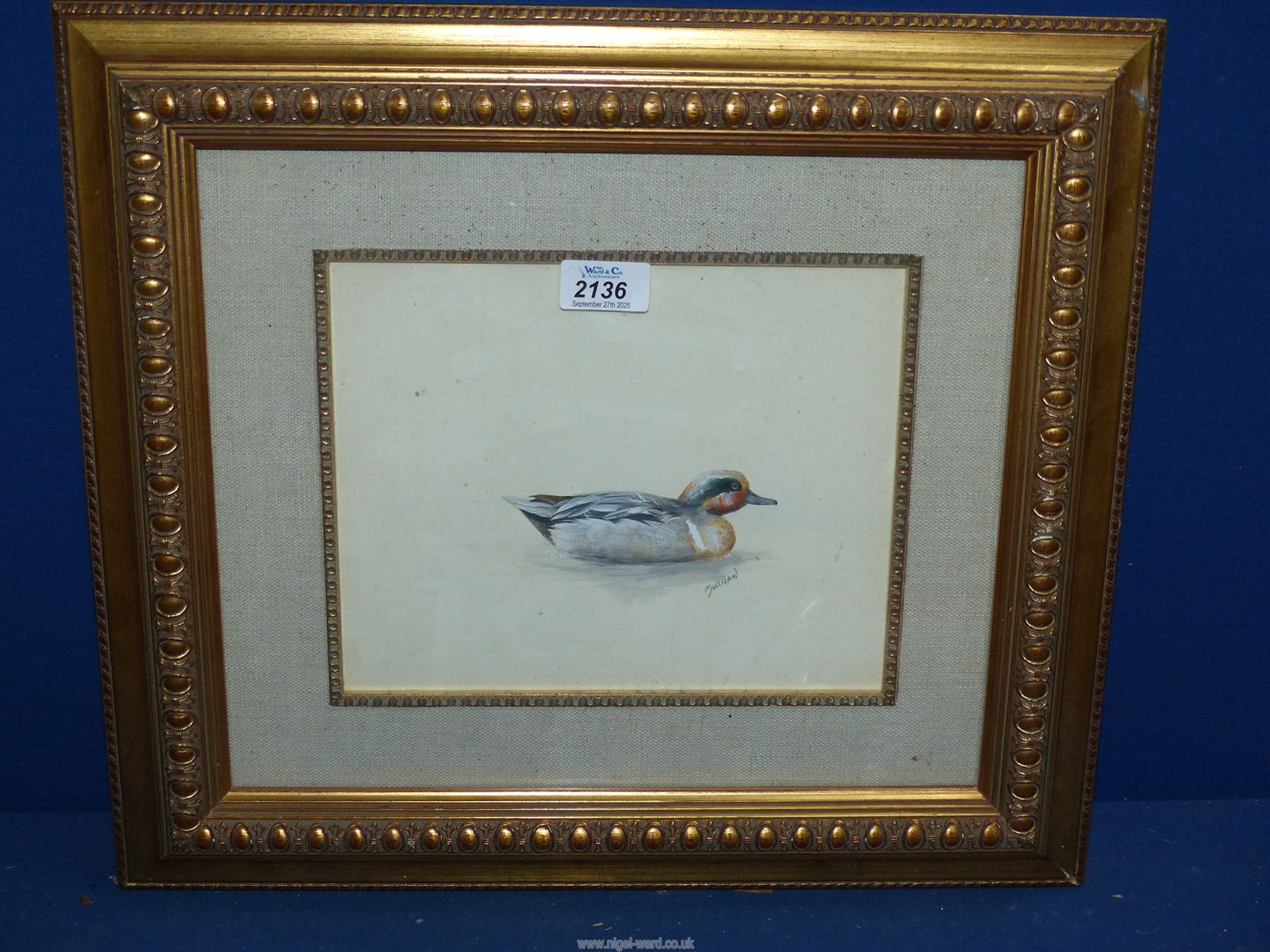 A framed and mounted Watercolour depicting a green-winged Teal, signed ...