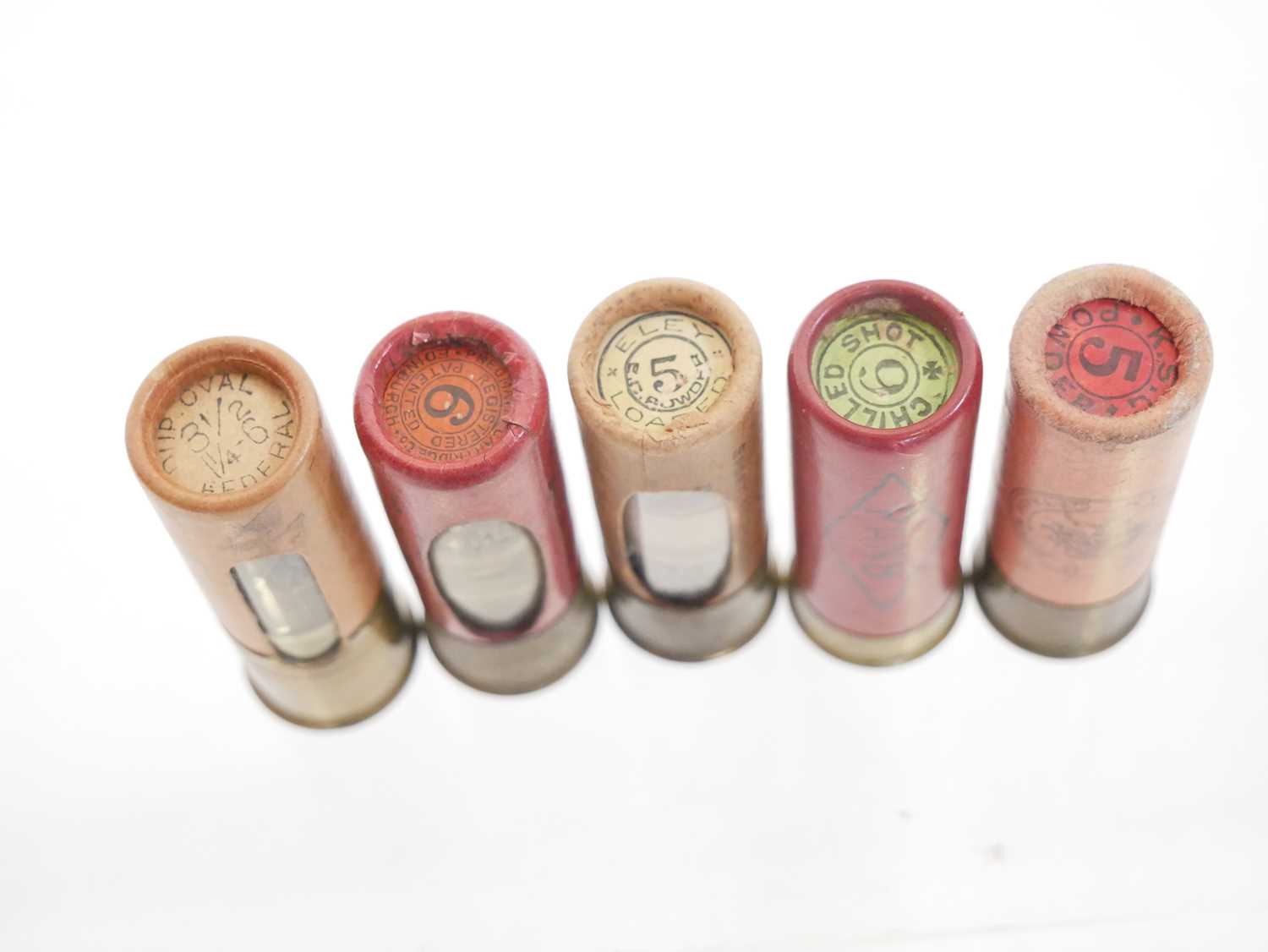 Three 12 bore Window cartridges and two shop sample cartridges, one ...