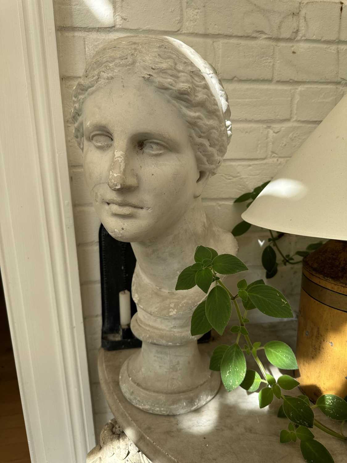 Classical style plaster bust, on circular socle, 53cm high