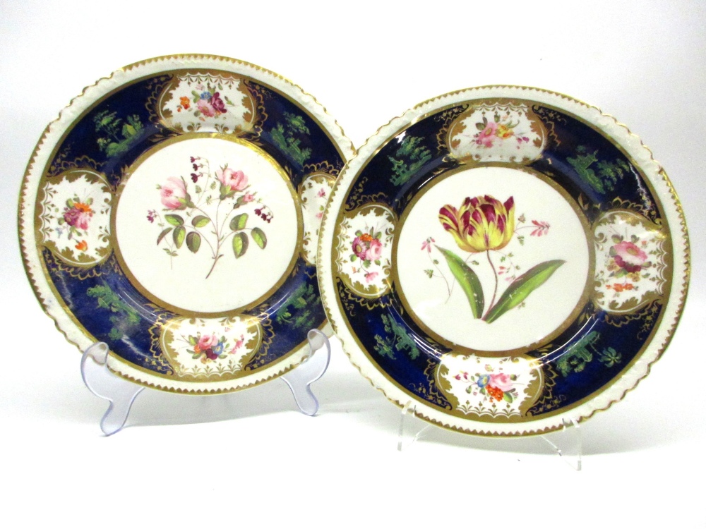 Selection of Rockingham porcelain plates, plus tea cup & saucer, c1826 ...