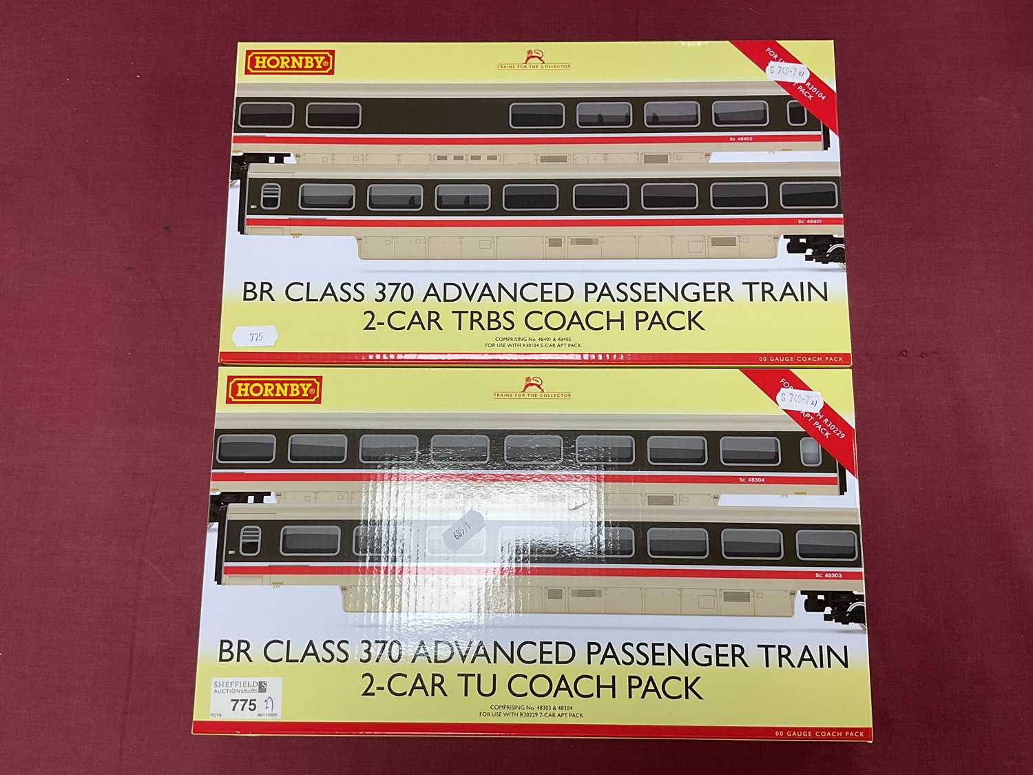 Two Hornby OO Gauge BR Class 370 Advanced Passenger Train 2-Car Coach ...