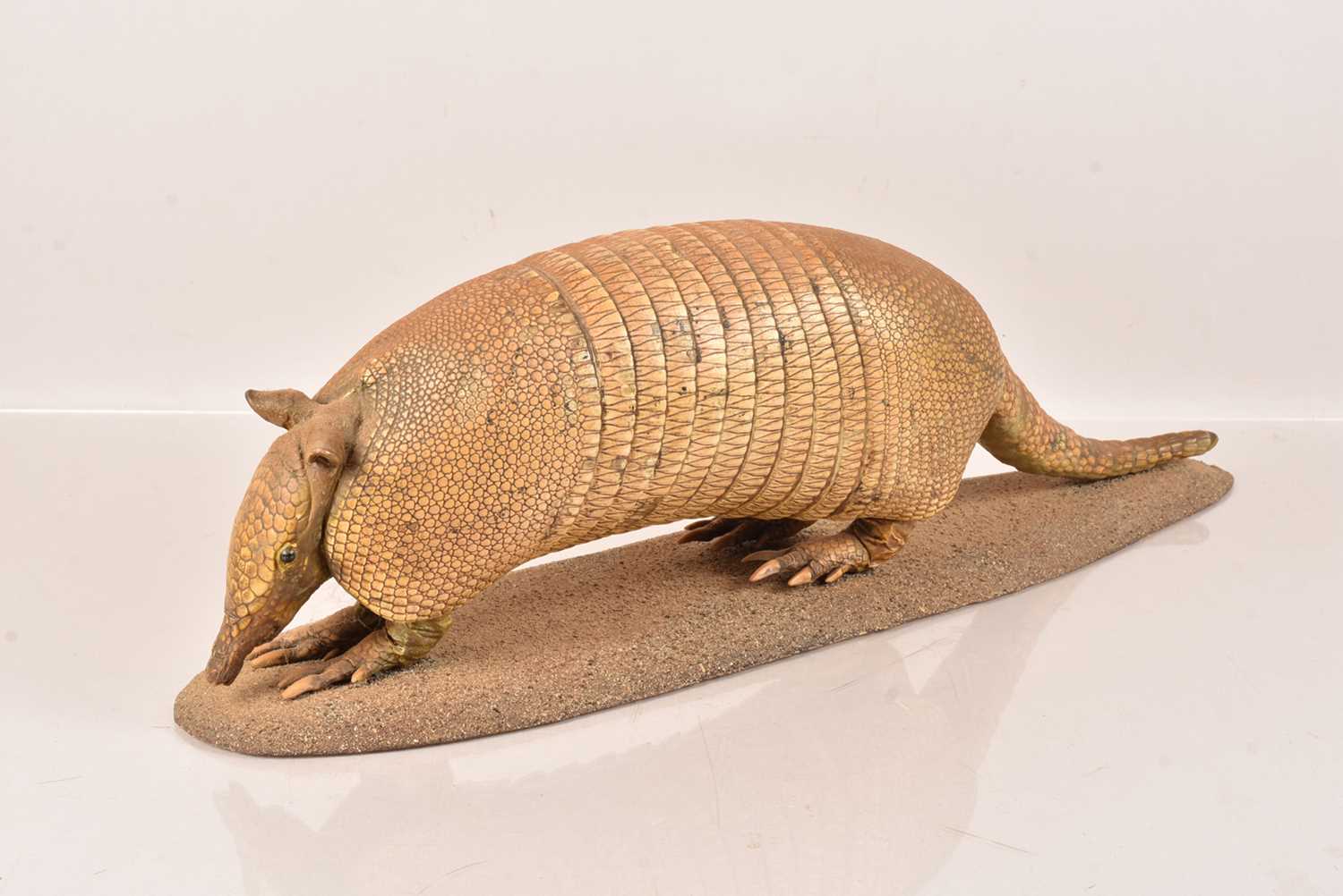 Taxidermy, Nine-Banded Armadillo (Dasypus Novemcinctus), full body ...