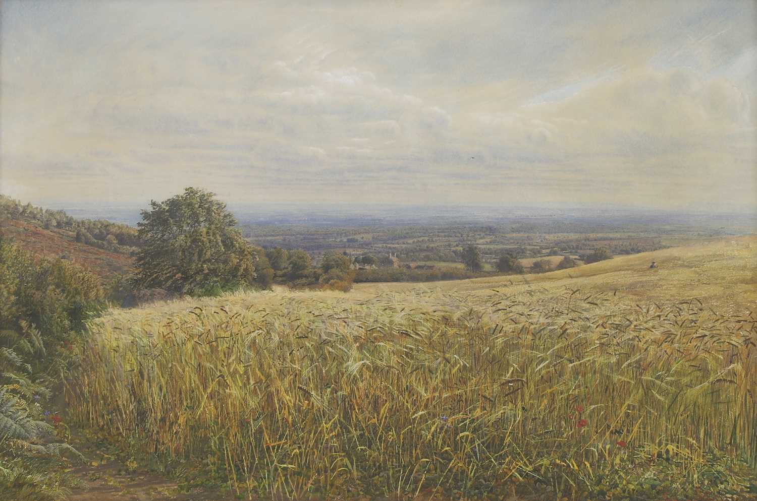 Edmund George Warren (1834-1909) A barley field signed and dated ...