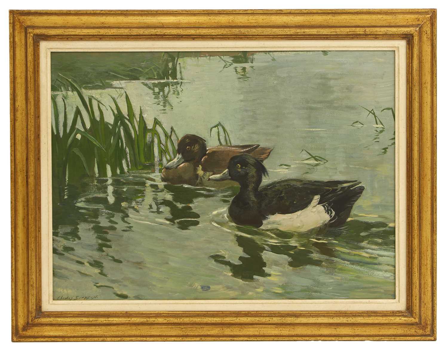 Charles Walter Simpson (1885-1971) Two tufted ducks signed 'Charles ...