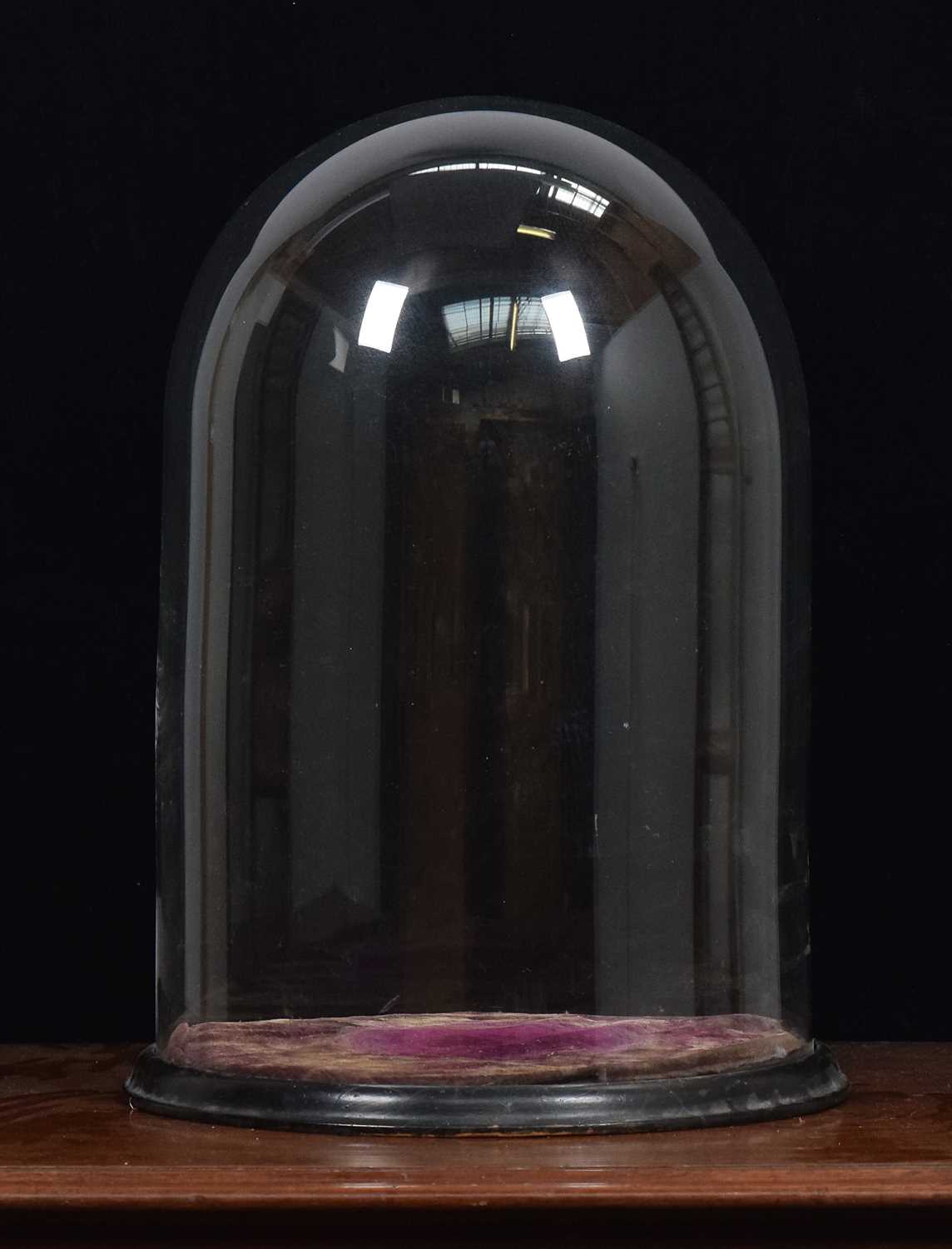 Glass Domes: A Large Period Circular Glass Dome, with original ebonised ...