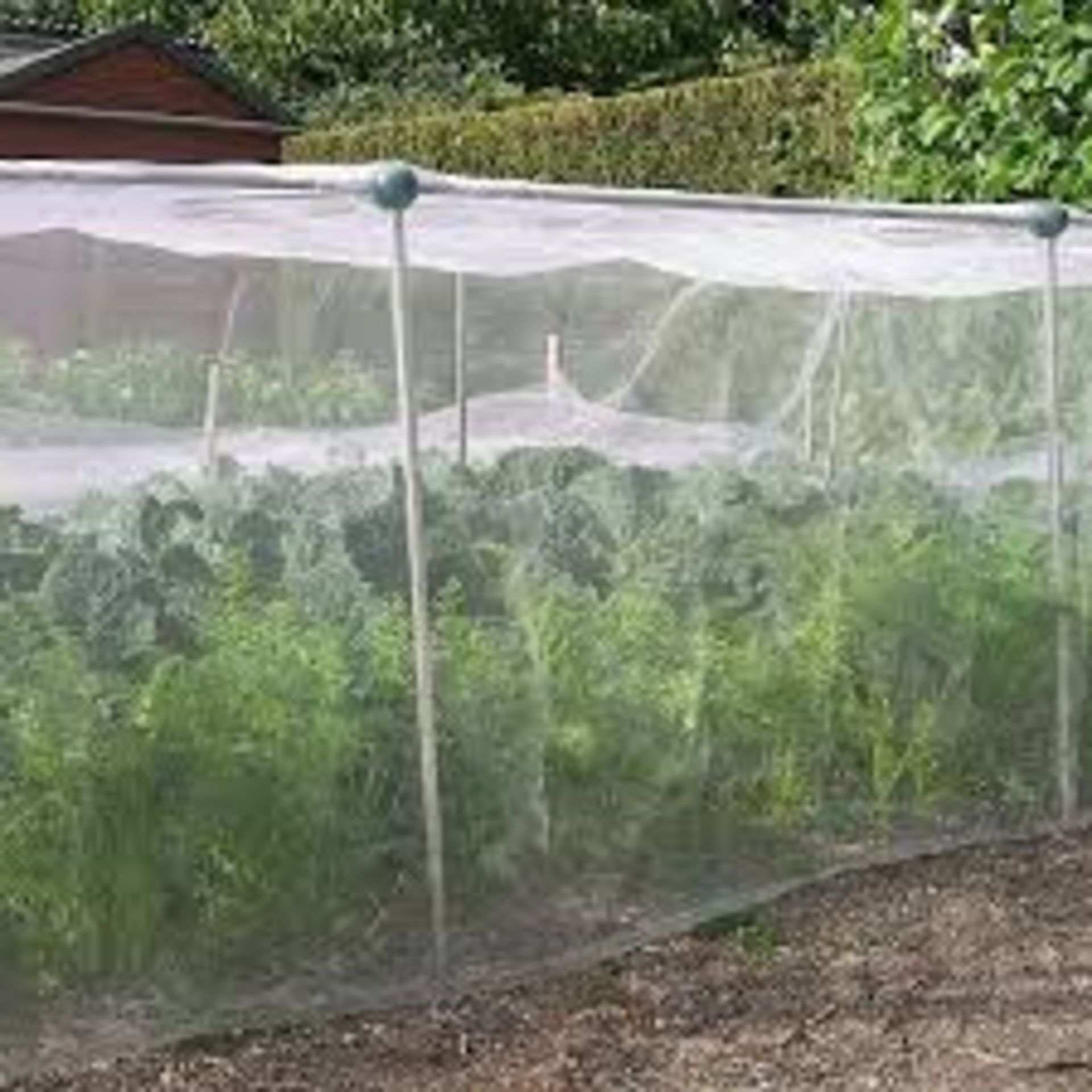 25 X BRAND NEW Veggiemesh Garden Netting Insect Mesh 3.6 X 3M RRP £21 ...