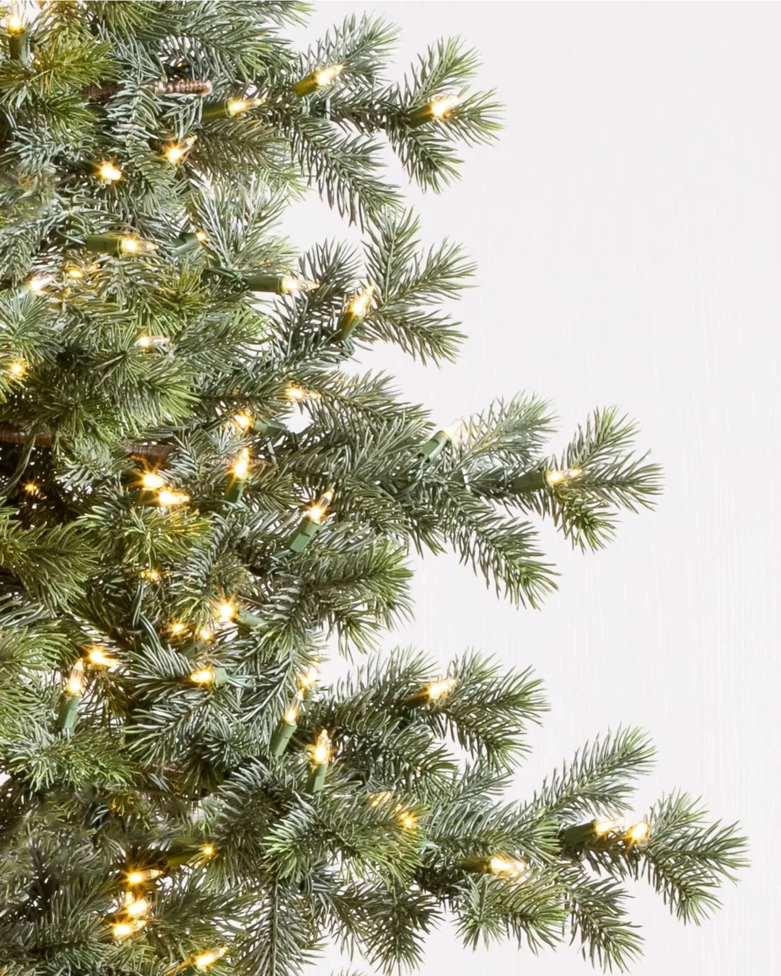 (BH The World's Leading Christmas Tree Manufacturer) Boxed Yukon Spruce ...