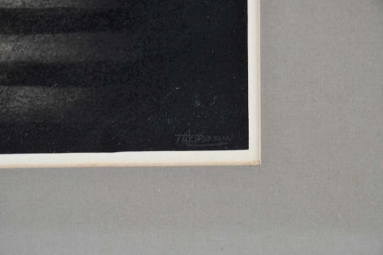 TREVOR GRIMSHAW (1947-2001); pencil/graphite, 'Steps', signed, 21 x ...