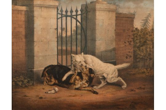 English School (19th century)Dogs Fighting Over a Boneunsigned, colour ...