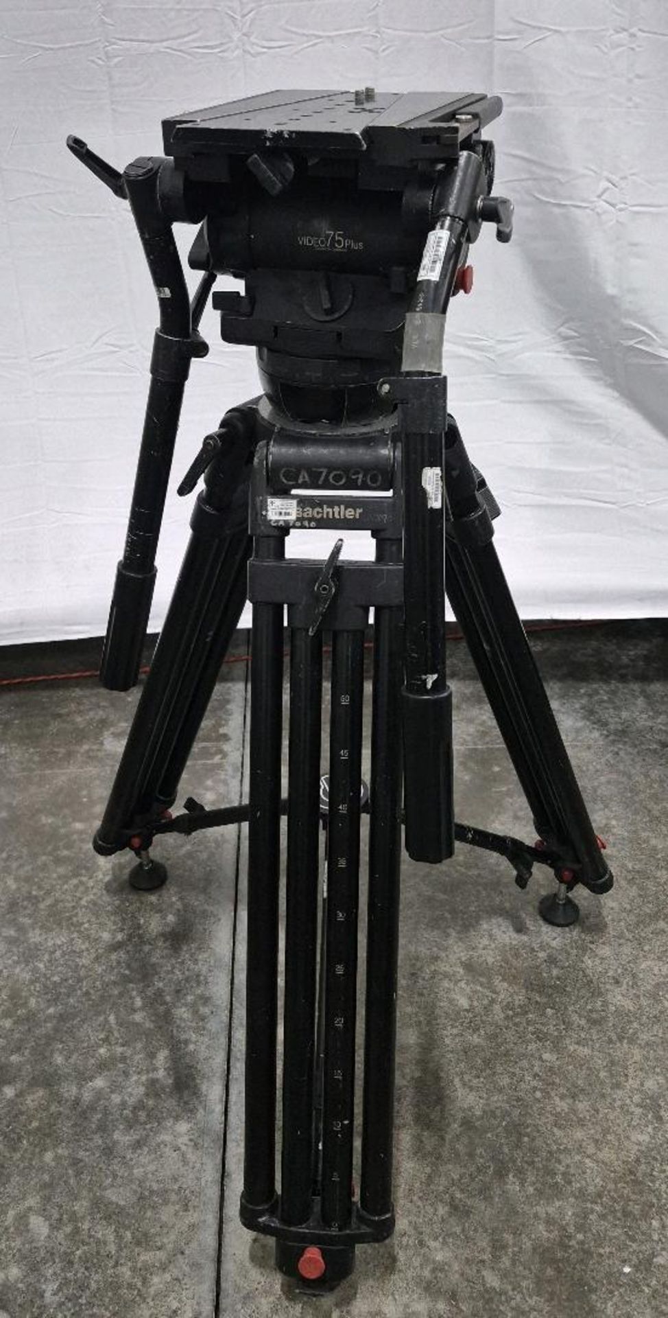 SACHTLER VIDEO 75 STUDIO FLUID HEAD W/ 6481 LEGS - NO CASE ...