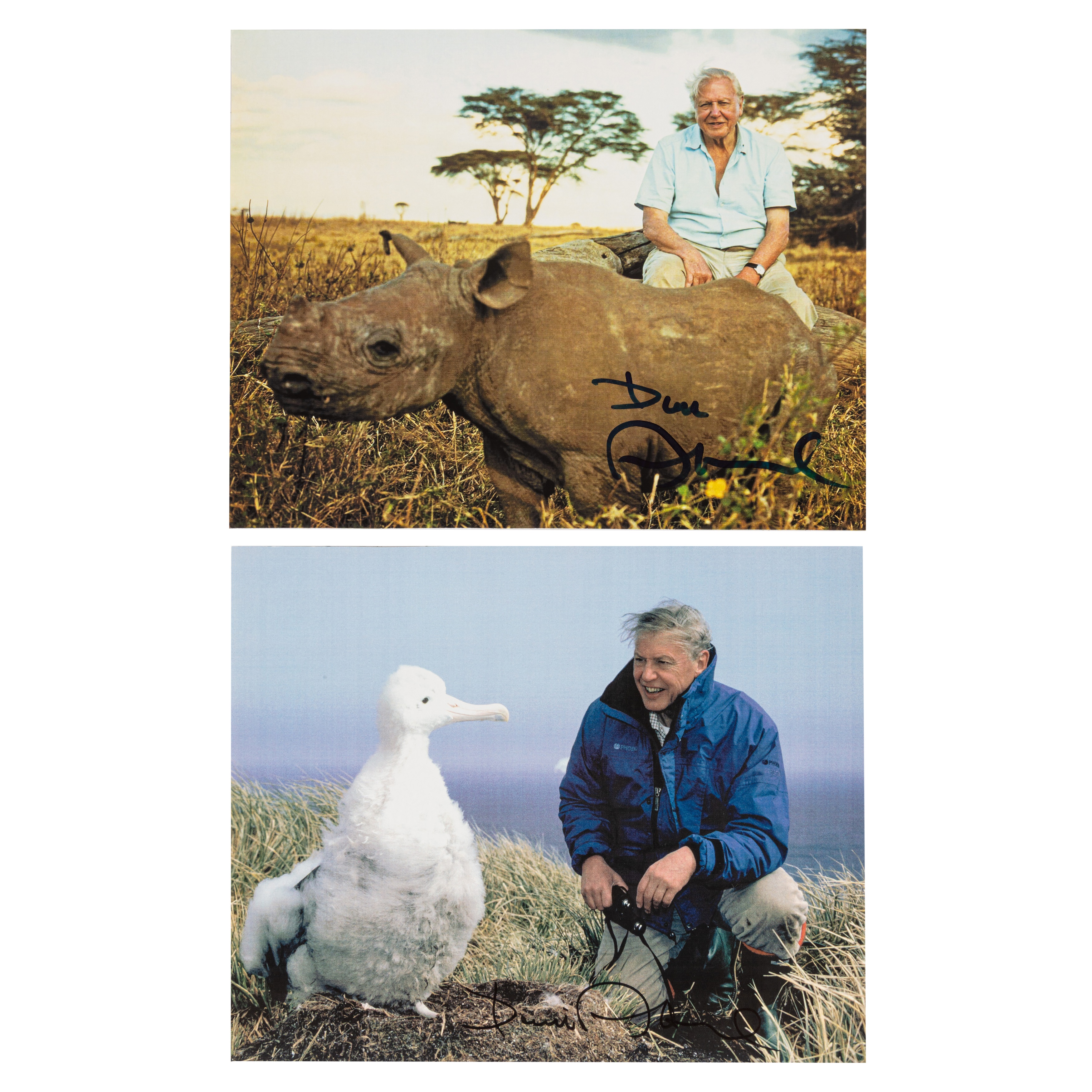 Attenborough (David).- Two colour photographs of the British ...