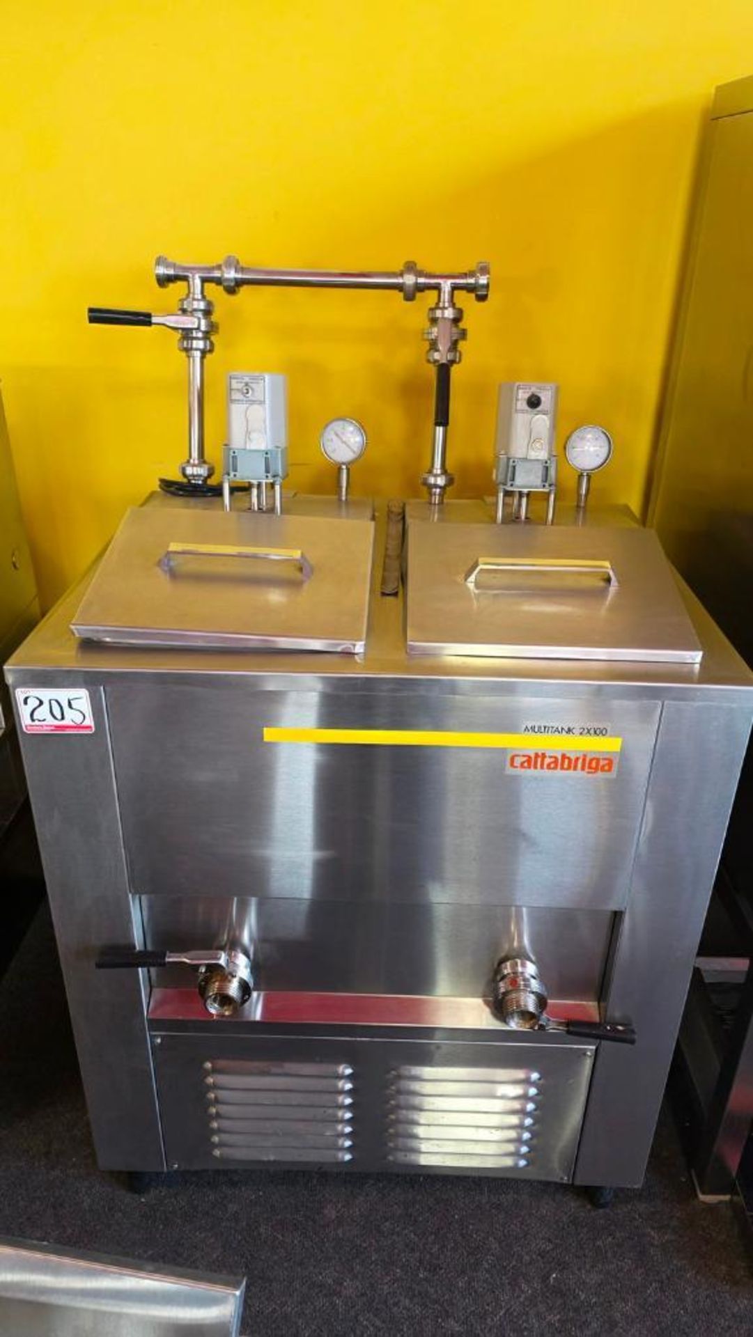 CATTABRIGA MULTITANK 2X100 ICE CREAM MIXER