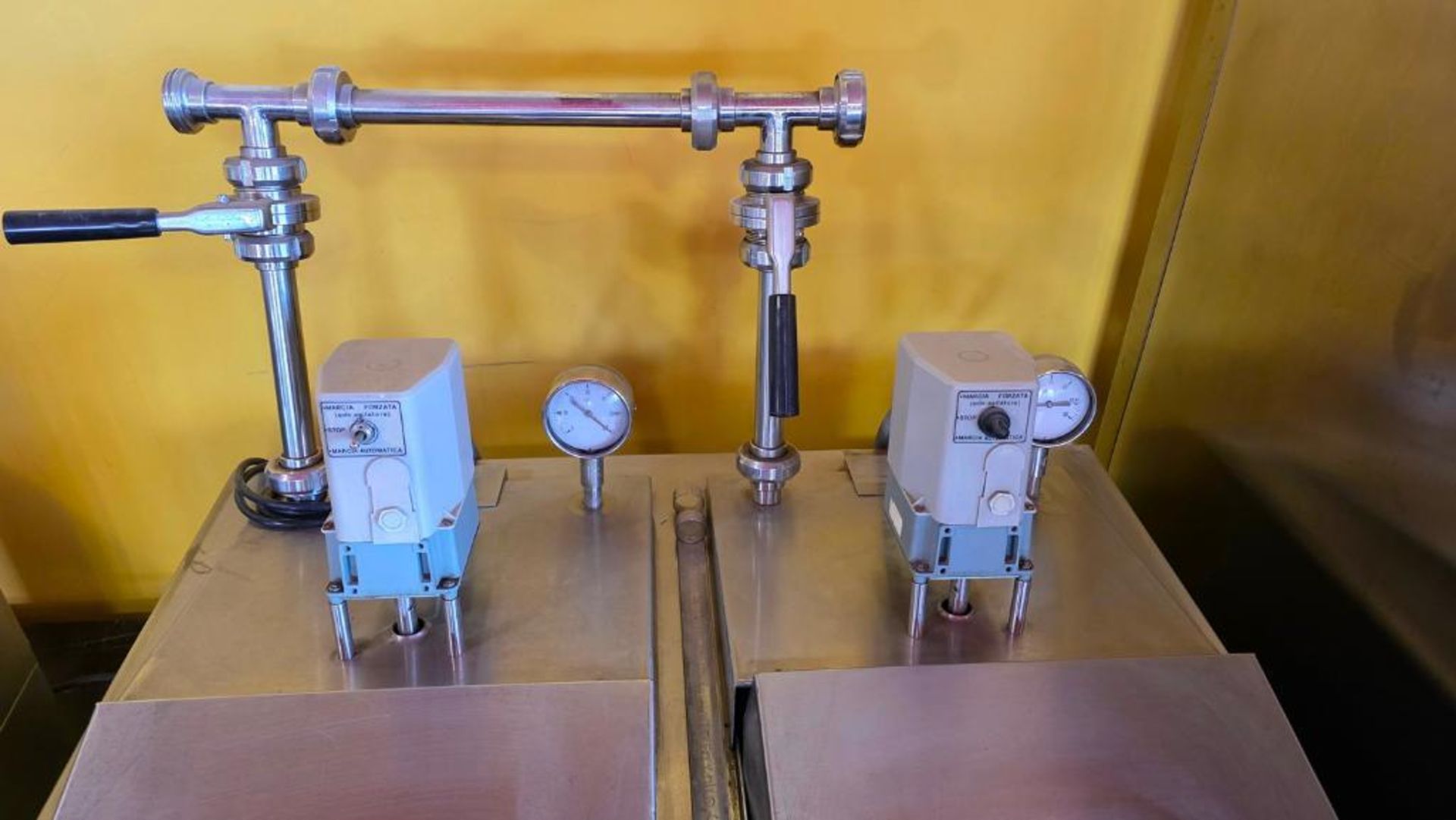 CATTABRIGA MULTITANK 2X100 ICE CREAM MIXER
