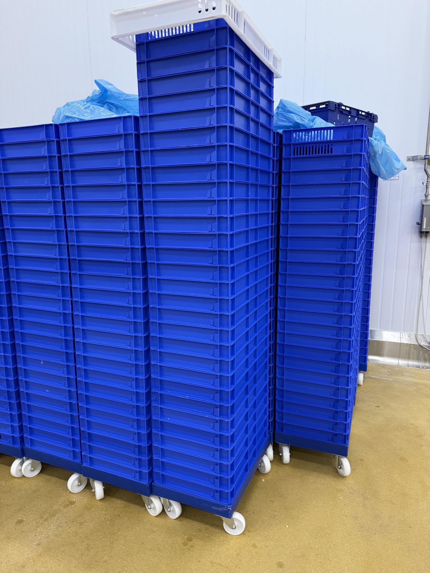 1 x Qty of approx. 375 blue perforated trays. Lift out: TBC