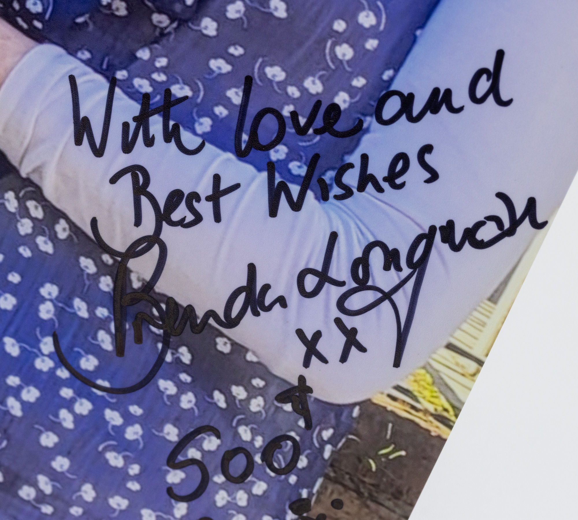 Soo: A carded Golden Bear, Soo the Panda Hand Puppet, signed by Brenda ...