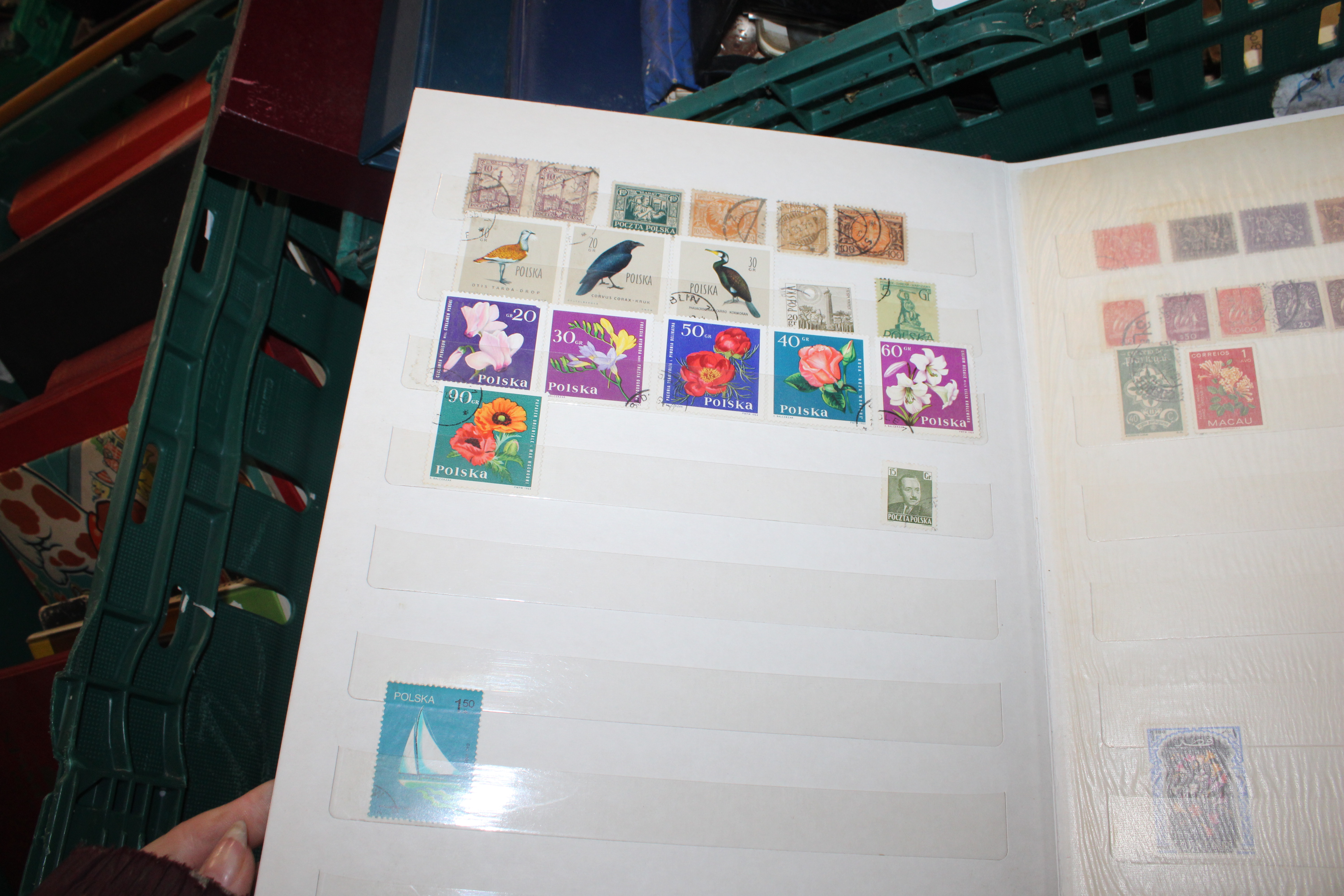 Five stamp albums and contents