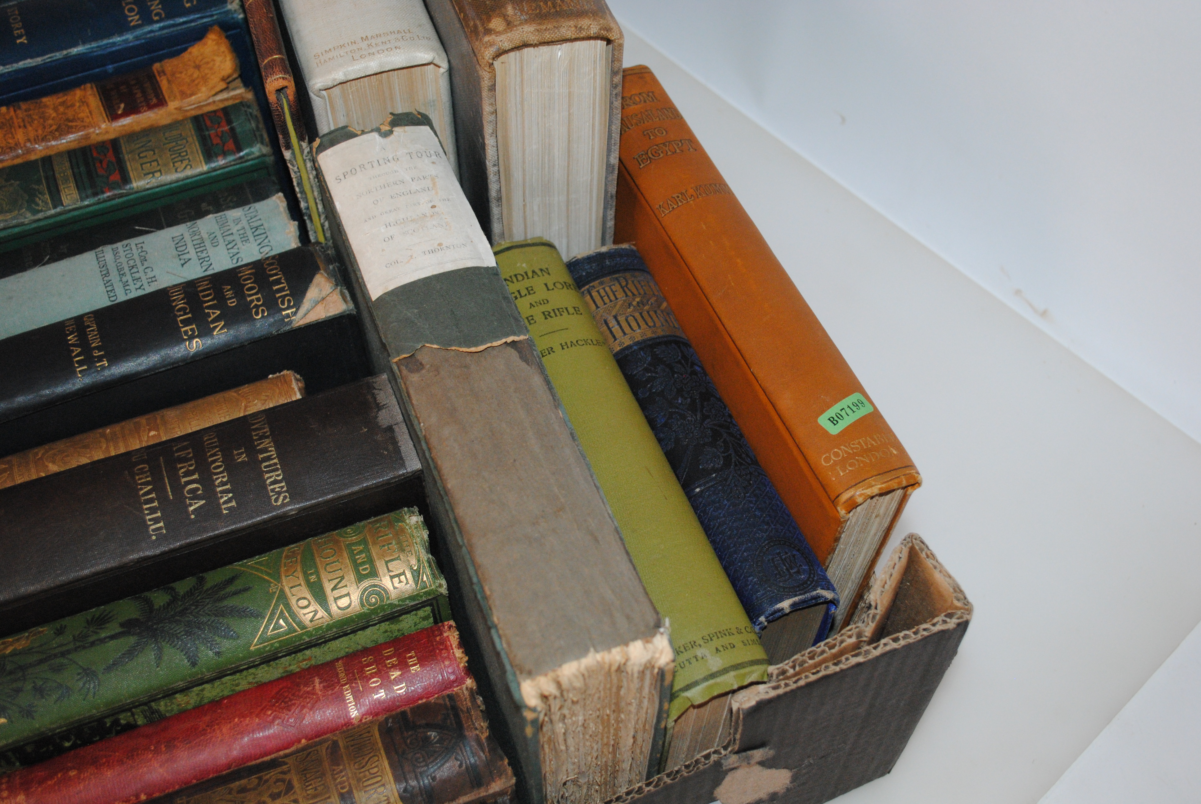 A collection of books on hunting shooting and big game hunting, to ...