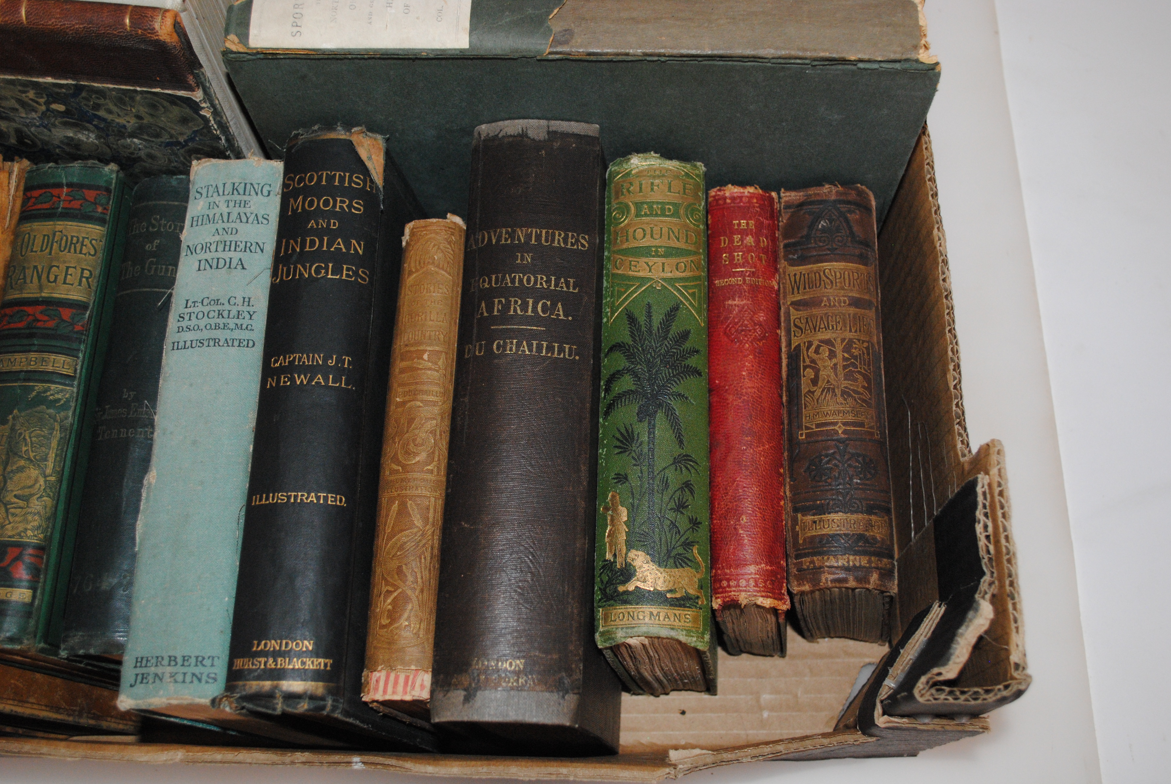 A collection of books on hunting shooting and big game hunting, to ...