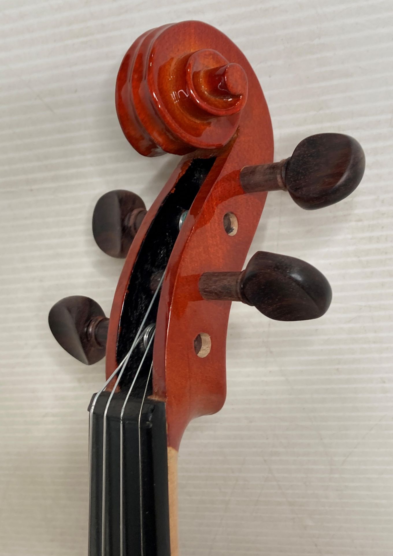 A 'The Stentor Student I' violin by Stentor Music Co Ltd in a Stentor ...