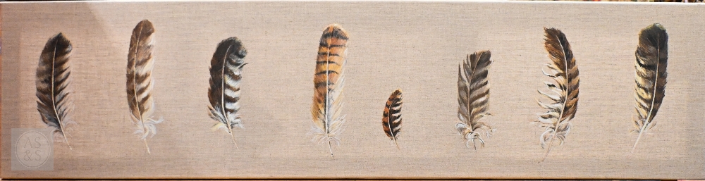 Contemporary oil on canvas of feathers, unframed, 30 x 120 cm