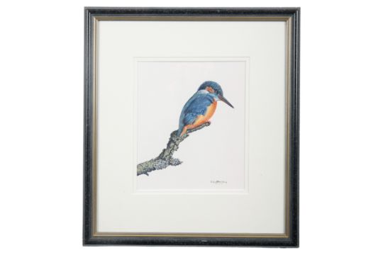 *RICHARD TAMBLING (20TH CENTURY) 'Kingfisher'signed lower right ...