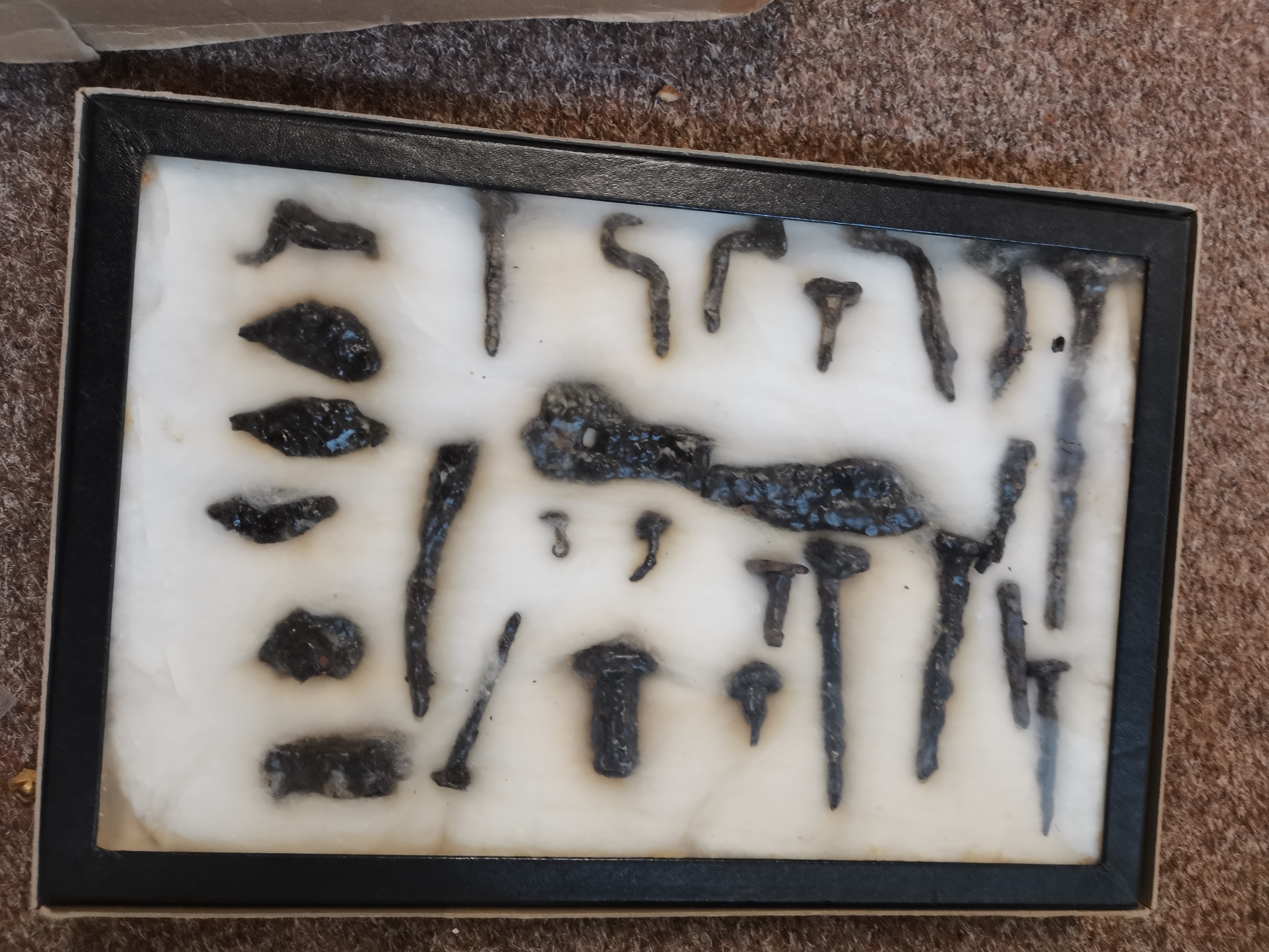 Large collection of fossils and metal detector findings