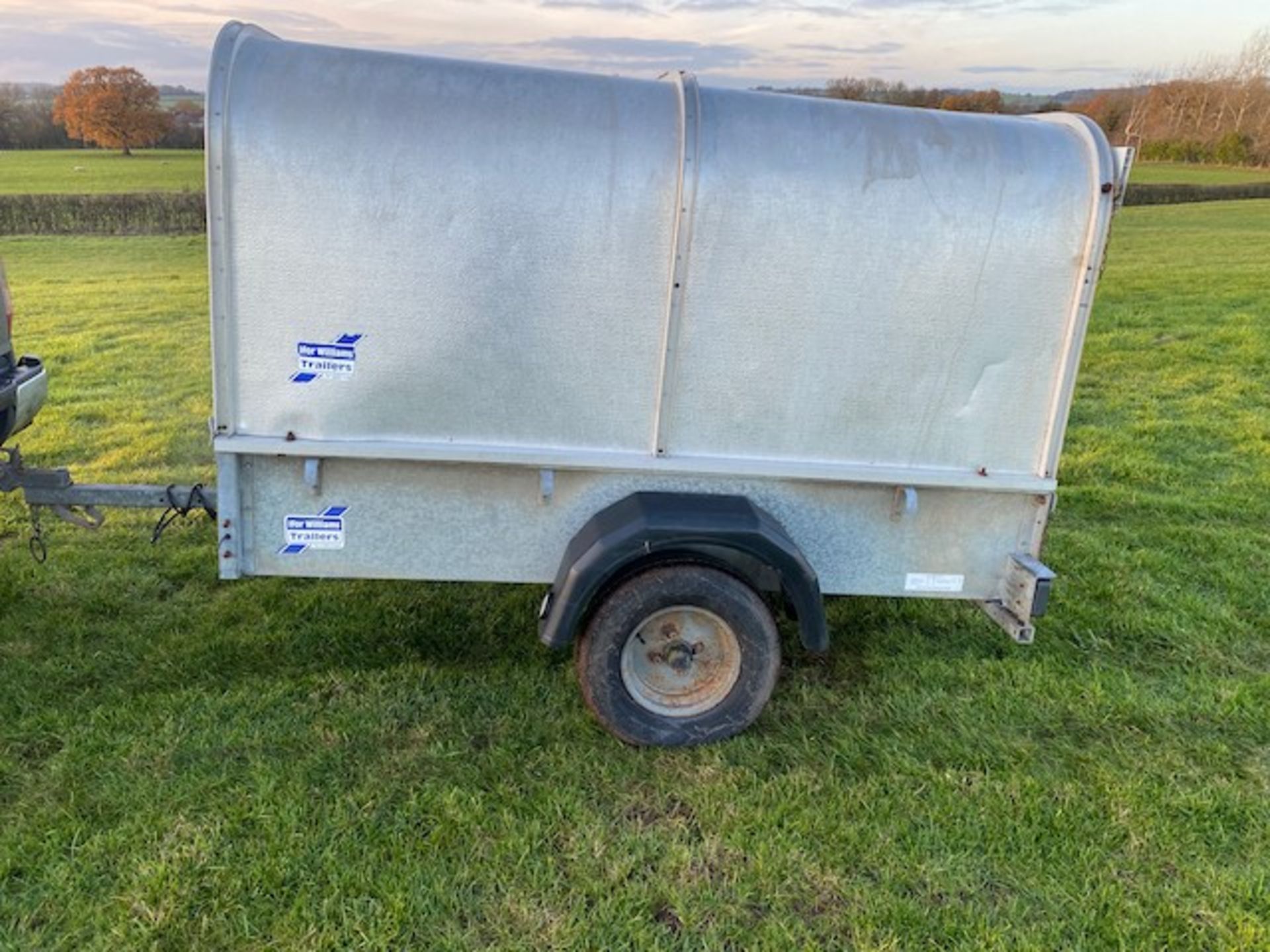 IFOR WILLIAMS P6 CALF/SHEEP TRAILER